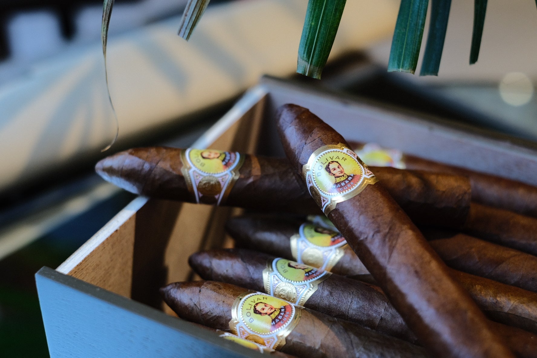 Cigars – Ron’s Cigar Store